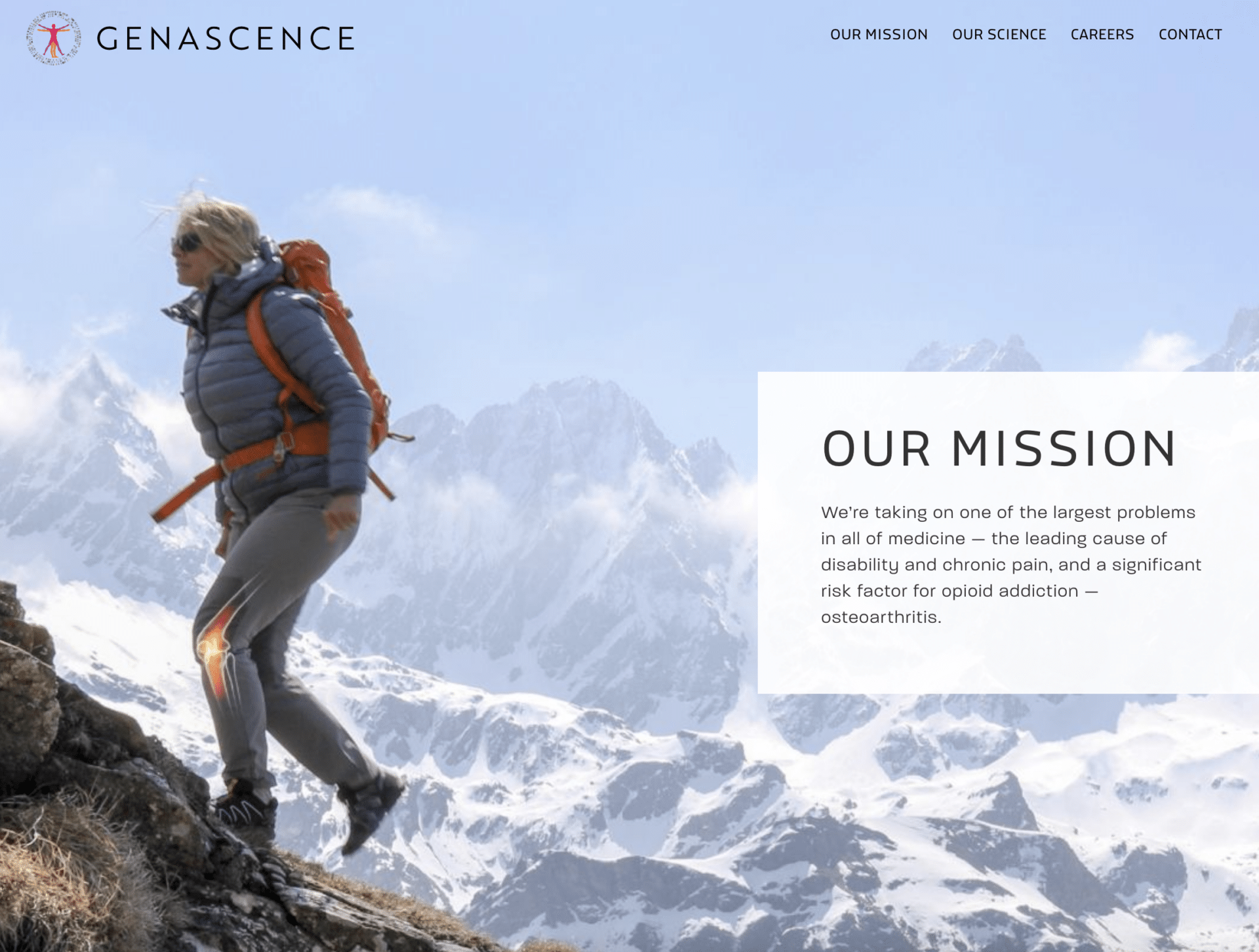 Genascence in the Southern Made Portfolio of Work