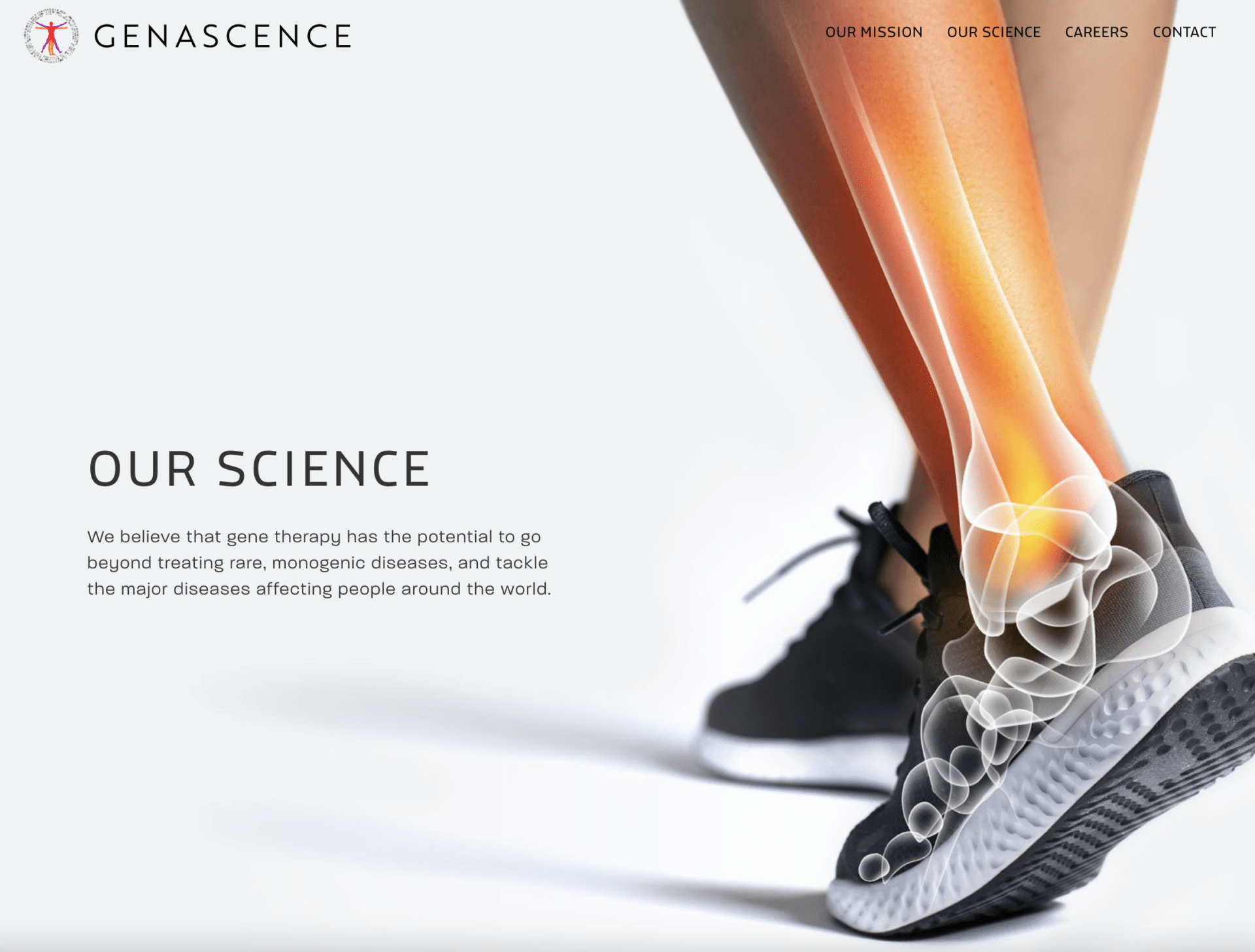 Genascence in the Southern Made Portfolio of Work