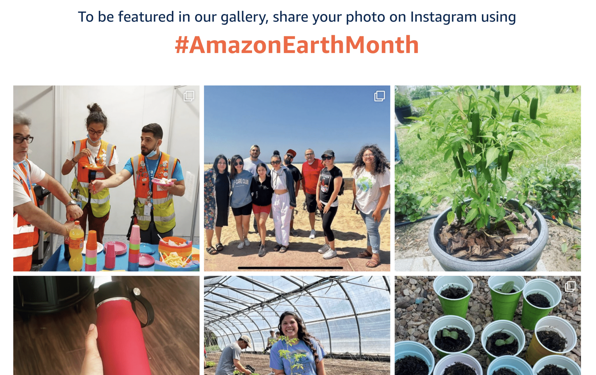 Amazon: Earth Month in the Southern Made Portfolio of Work