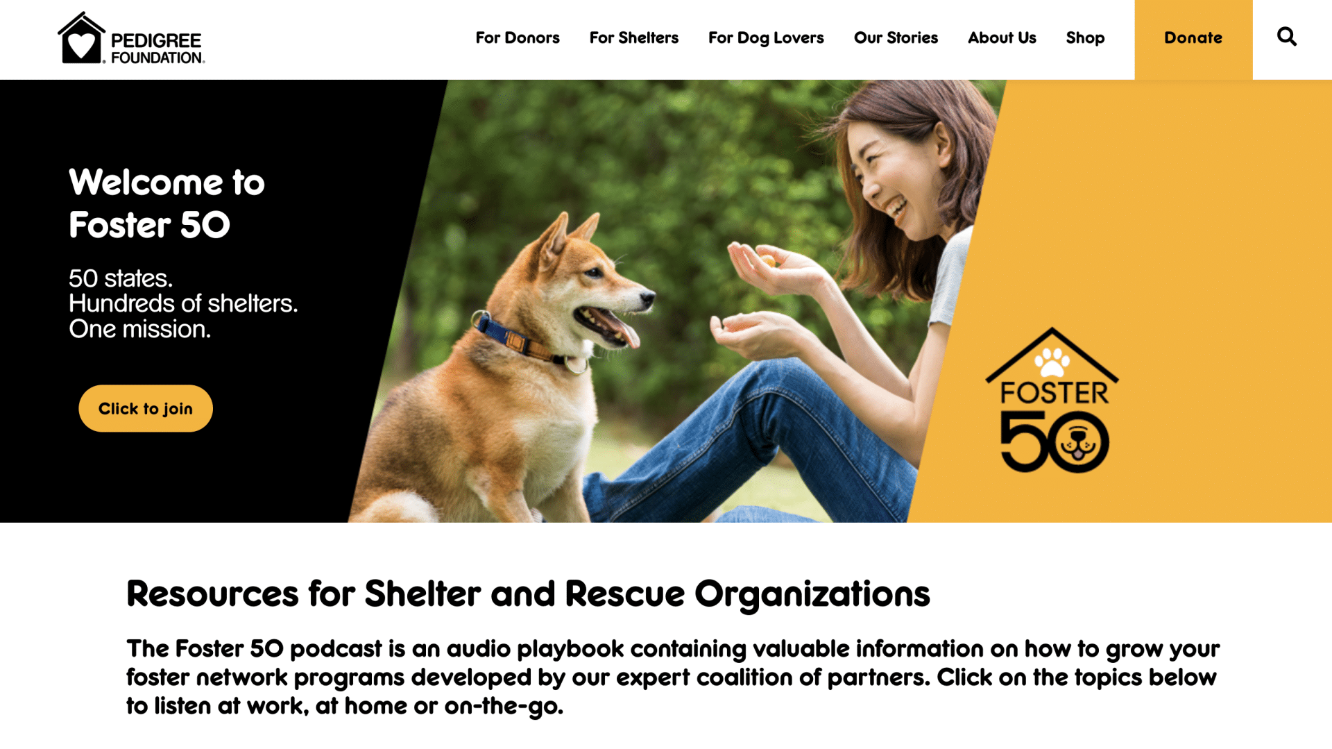 Pedigree Foundation: Foster 50 in the Southern Made Portfolio of Work